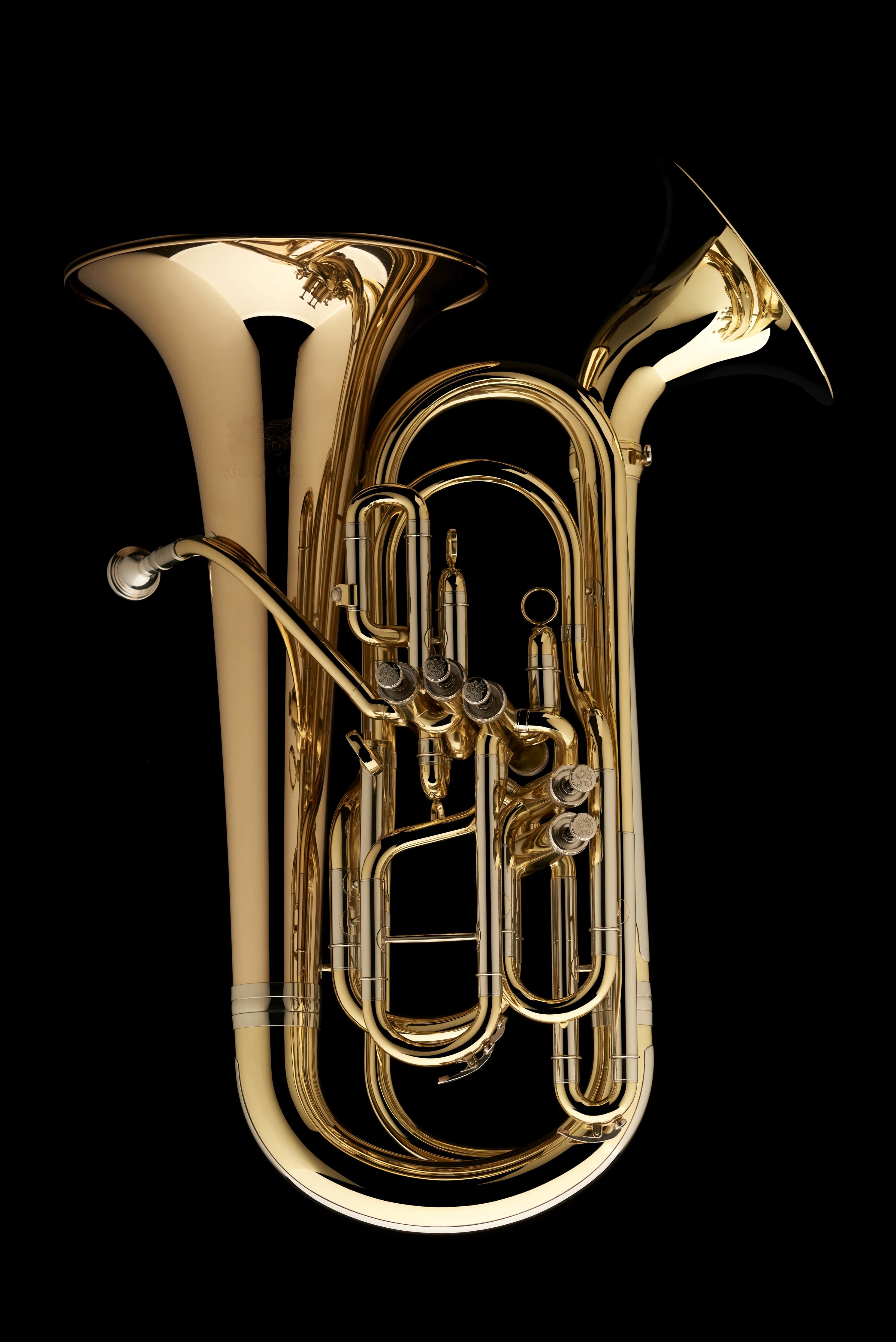 Benefits and uses of a double bell euphonium | Music blog – Wessex Tubas