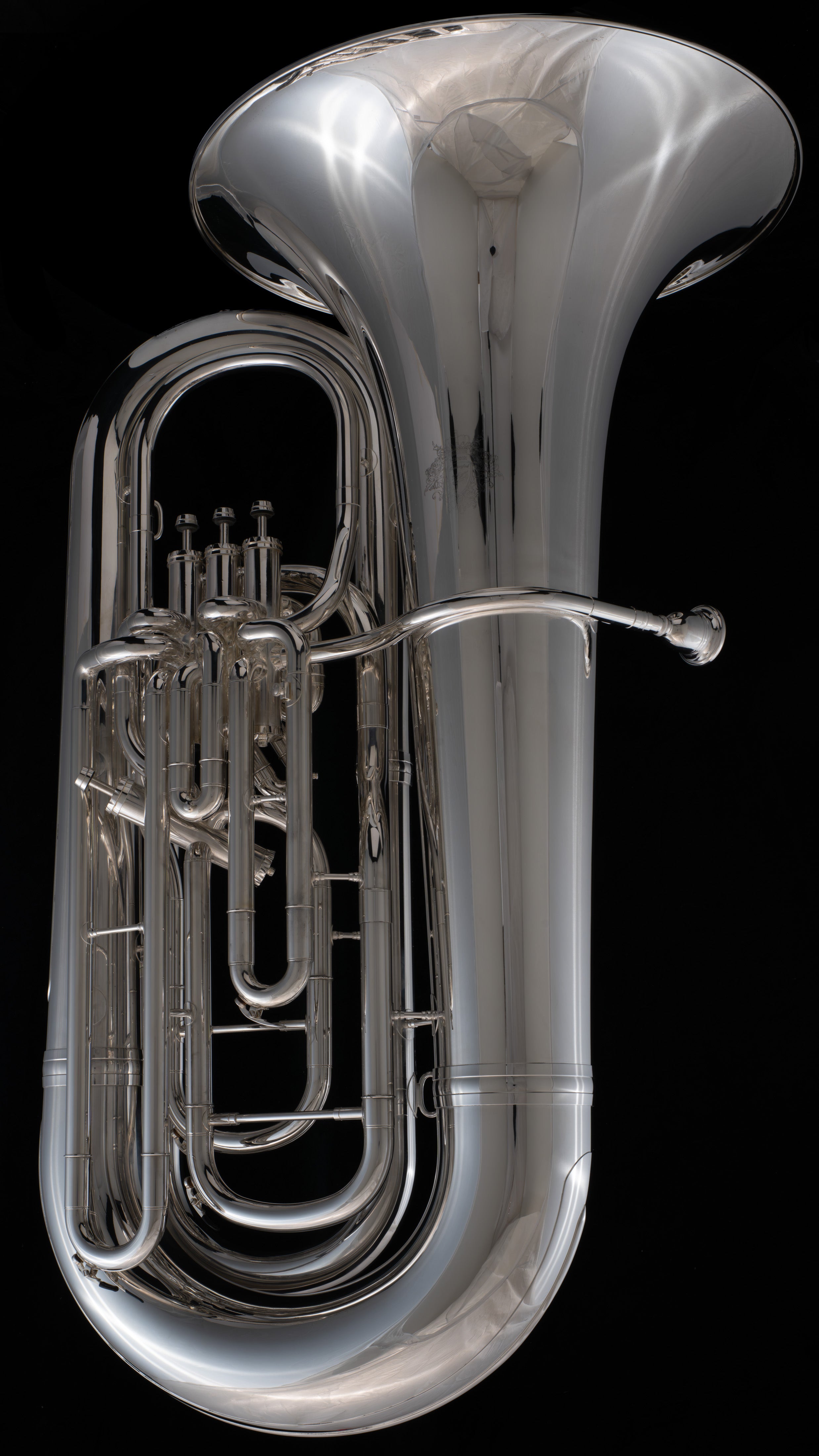 Pre order BBb Bass Tuba ‘Conqueror’ – TB950XP | Tubas – Wessex Tubas
