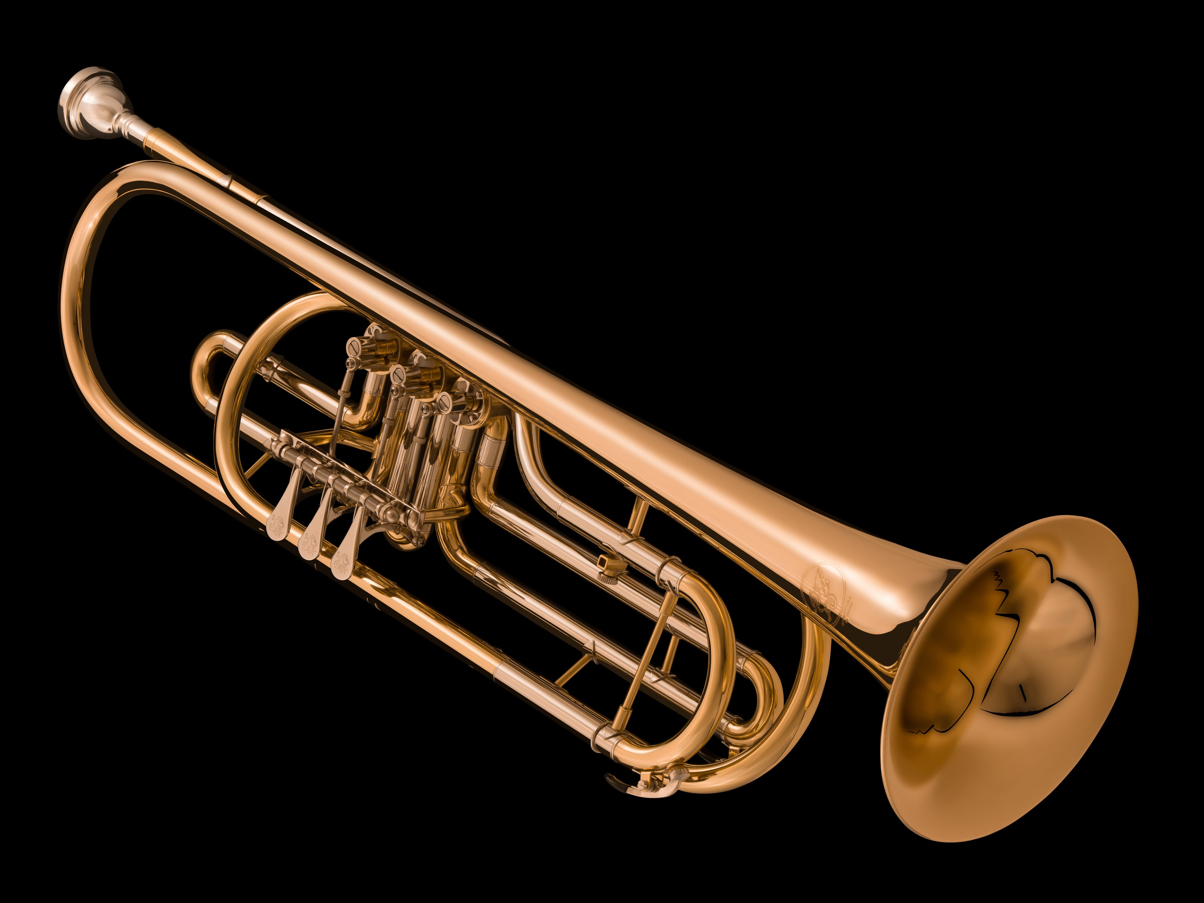 Bb Bass Trumpet (rotary valve) – BT2 – Wessex Tubas