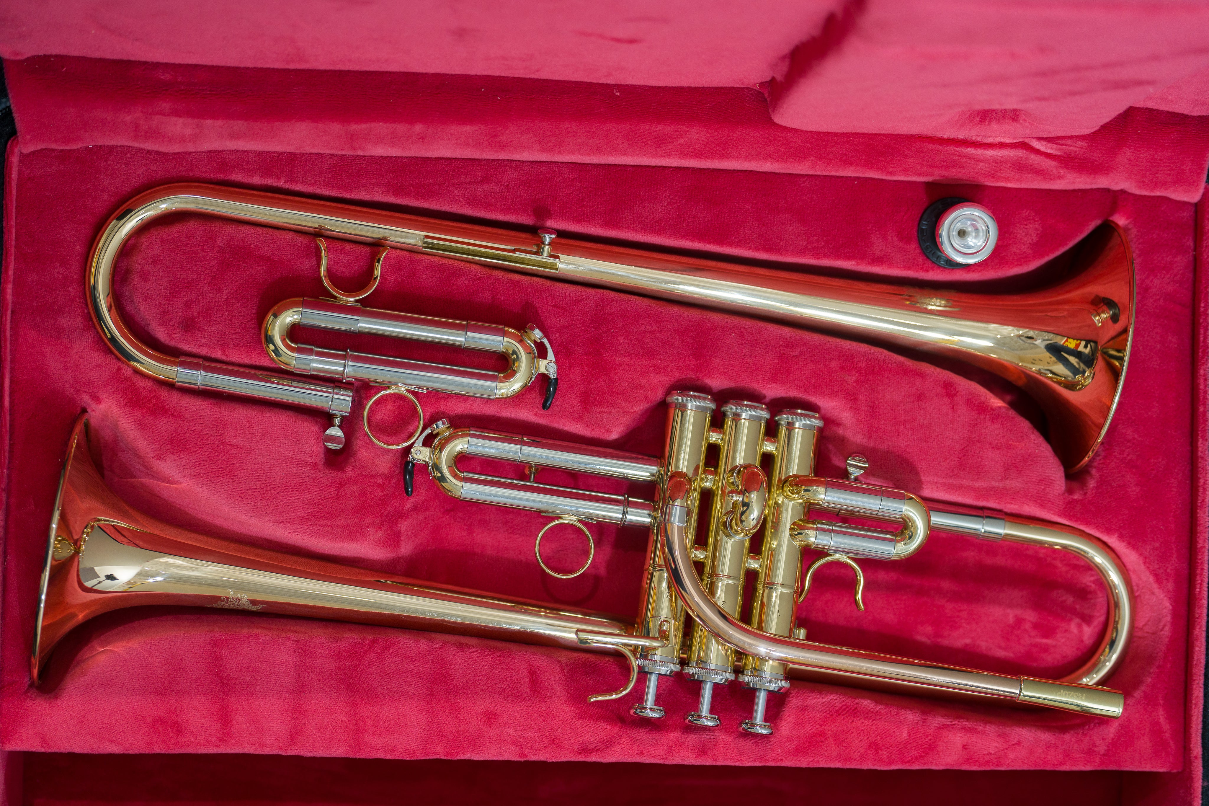 Handcrafted Eb/D Trumpet – R320 P – Wessex Tubas