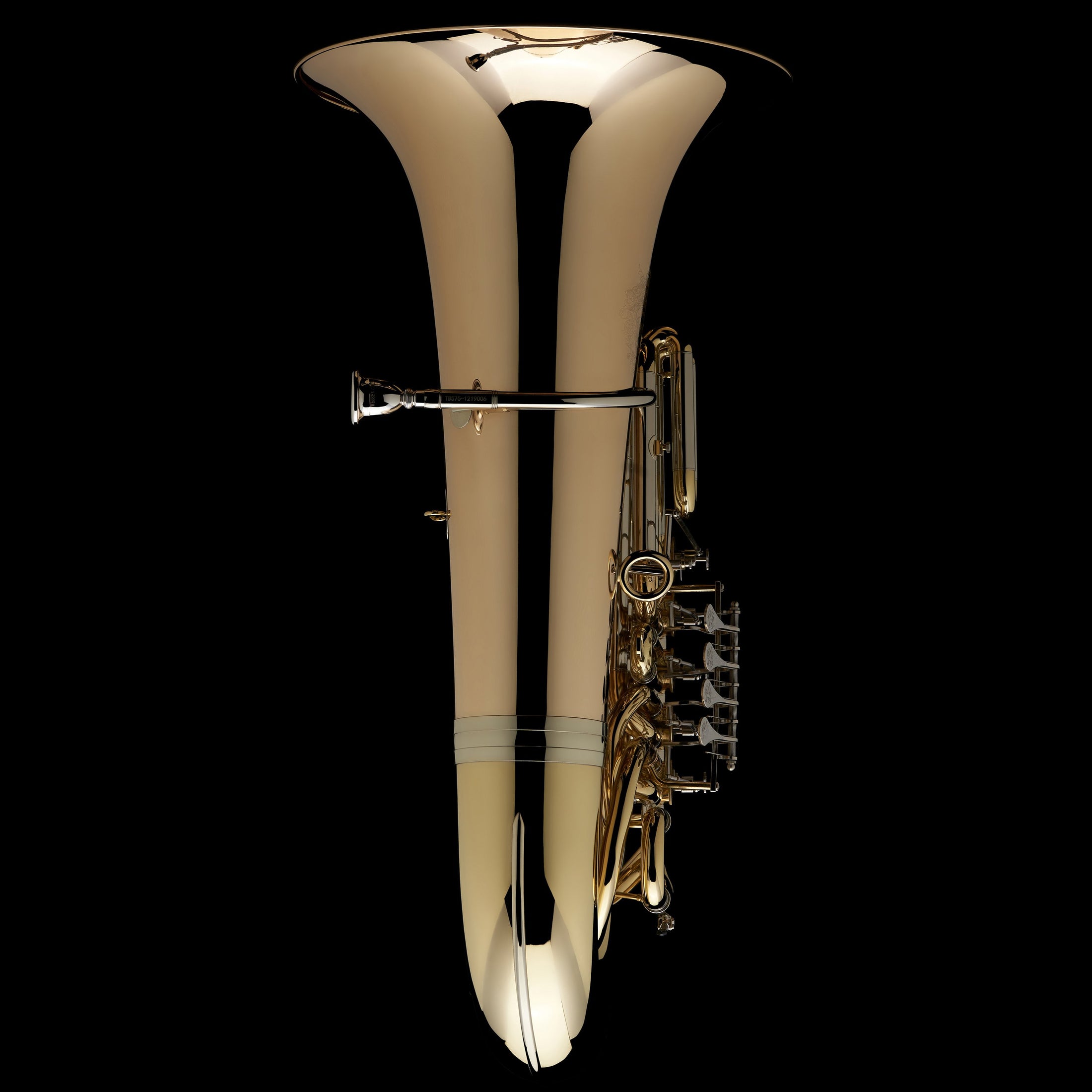 BBb 5/4 5-Rotary-Valve Tuba ‘Luzern’ - TB575 – Wessex Tubas